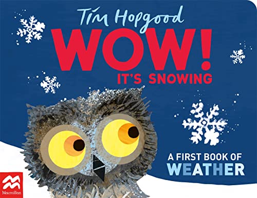 WOW! It's Snowing: A First Book of Weather by Tim Hopgood | Goodreads