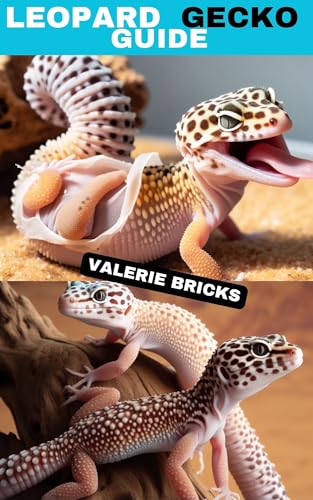 Leopard Gecko Guide: Care, Health, and Expert Tips for Happy & Healthy ...
