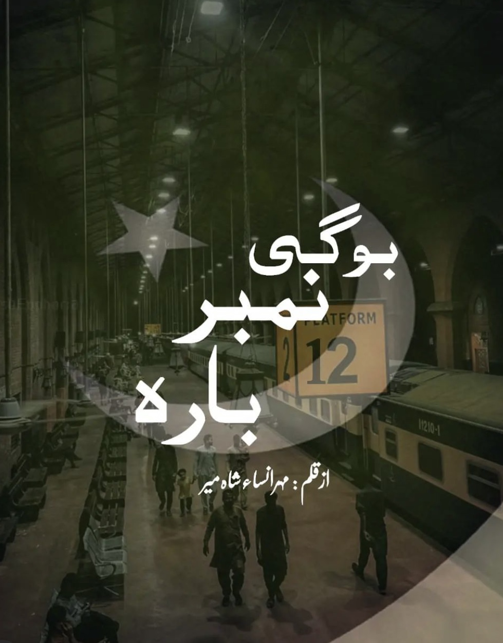 Bogi number 12 / بوگی نمبر بارہ by Mehrulnisa Shahmeer | Goodreads