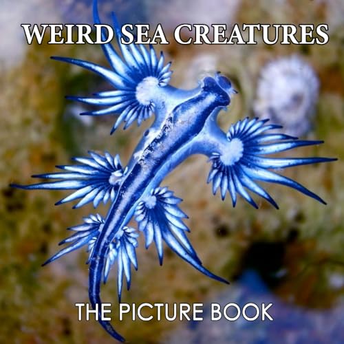 The Picture Book Weird Sea Creatures: Colorful Pages For All Ages ...
