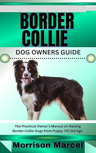 BORDER COLLIE DOG OWNERS GUIDE : The Practical Owner’s Manual on ...