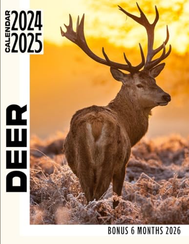 Deer Calendar 2024 - 2025: Three Years Calendar, 30 Images of Deer, Jan ...