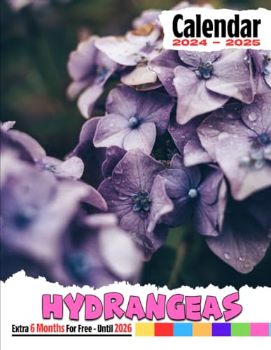 Hydrangeas Calendar 2024 - 2025: Three Years Calendar, UK Bank Holidays ...