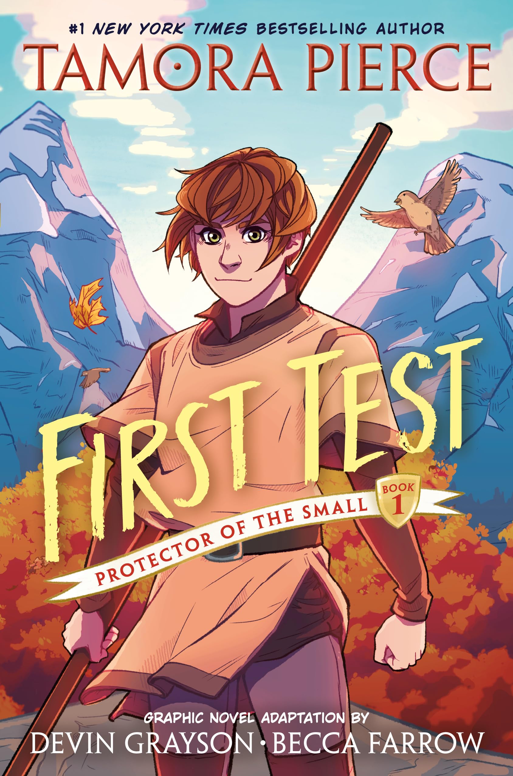 First Test (Protector of the Small, #1) by Devin Grayson | Goodreads