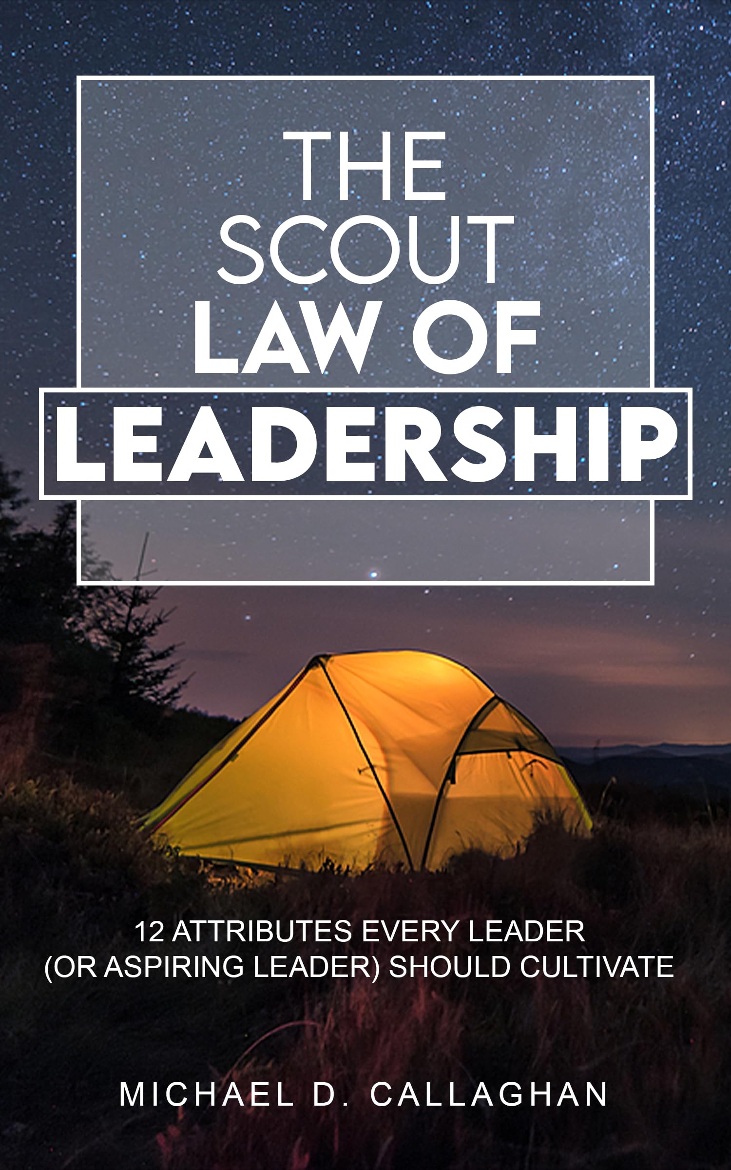 The Scout Law of Leadership: 12 Attributes Every Leader (or Aspiring ...