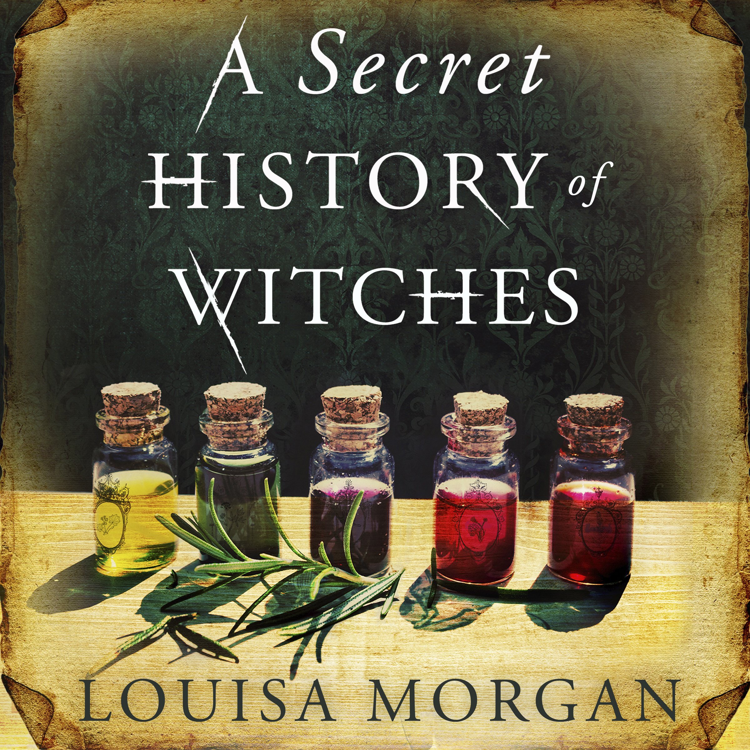 A Secret History of Witches: The spellbinding historical saga of love ...