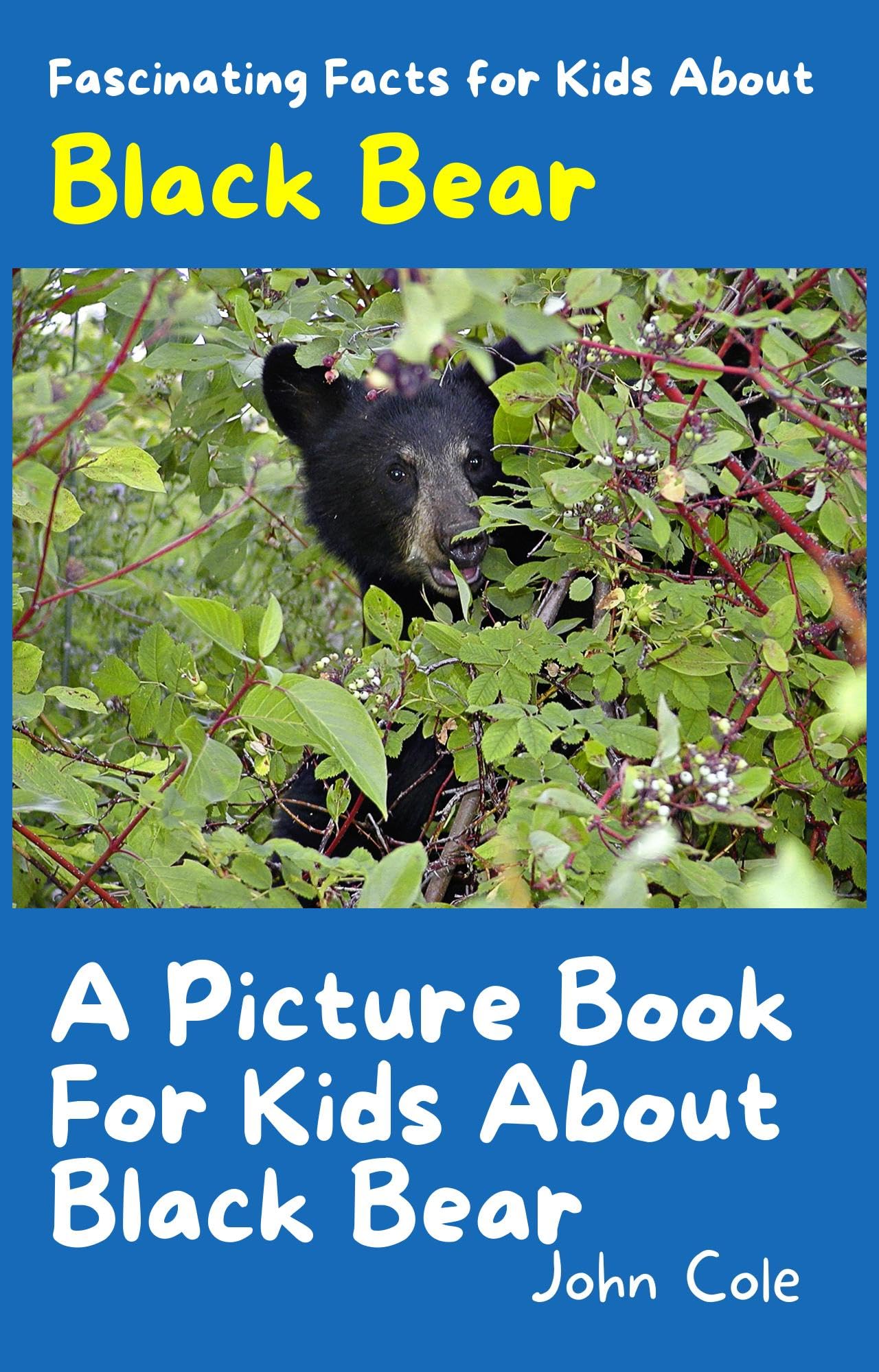 A Picture Book for Kids About Black Bear: Fascinating Facts for Kids ...