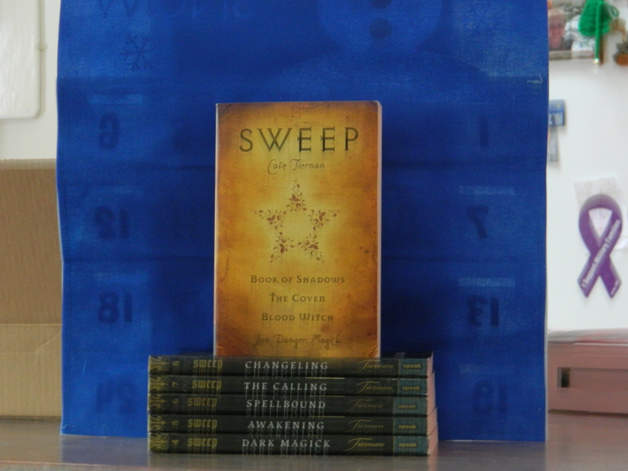 Sweep Series 1-6 Book of Shadows/Spellbound/Awakening/Dark Magick/Blood ...