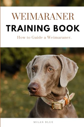 Weimaraner Training Book: How to Guide a Weimaraner by Milan Blue ...