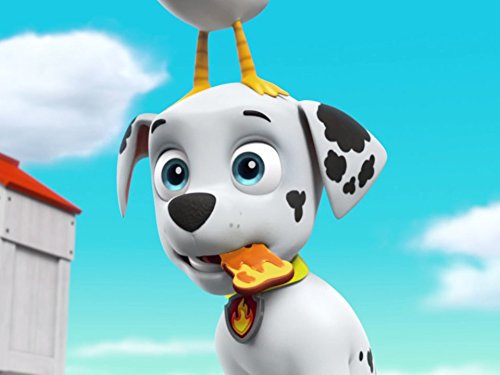 Pups Save the Parrot/Pups Save the Queen Bee by Devan Cohen | Goodreads