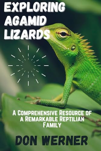 Exploring AGAMID LIZARDS: A Comprehensive Resource of A Remarkable ...