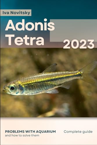 Adonis Tetra: Problems with aquarium and how to solve them by Iva ...