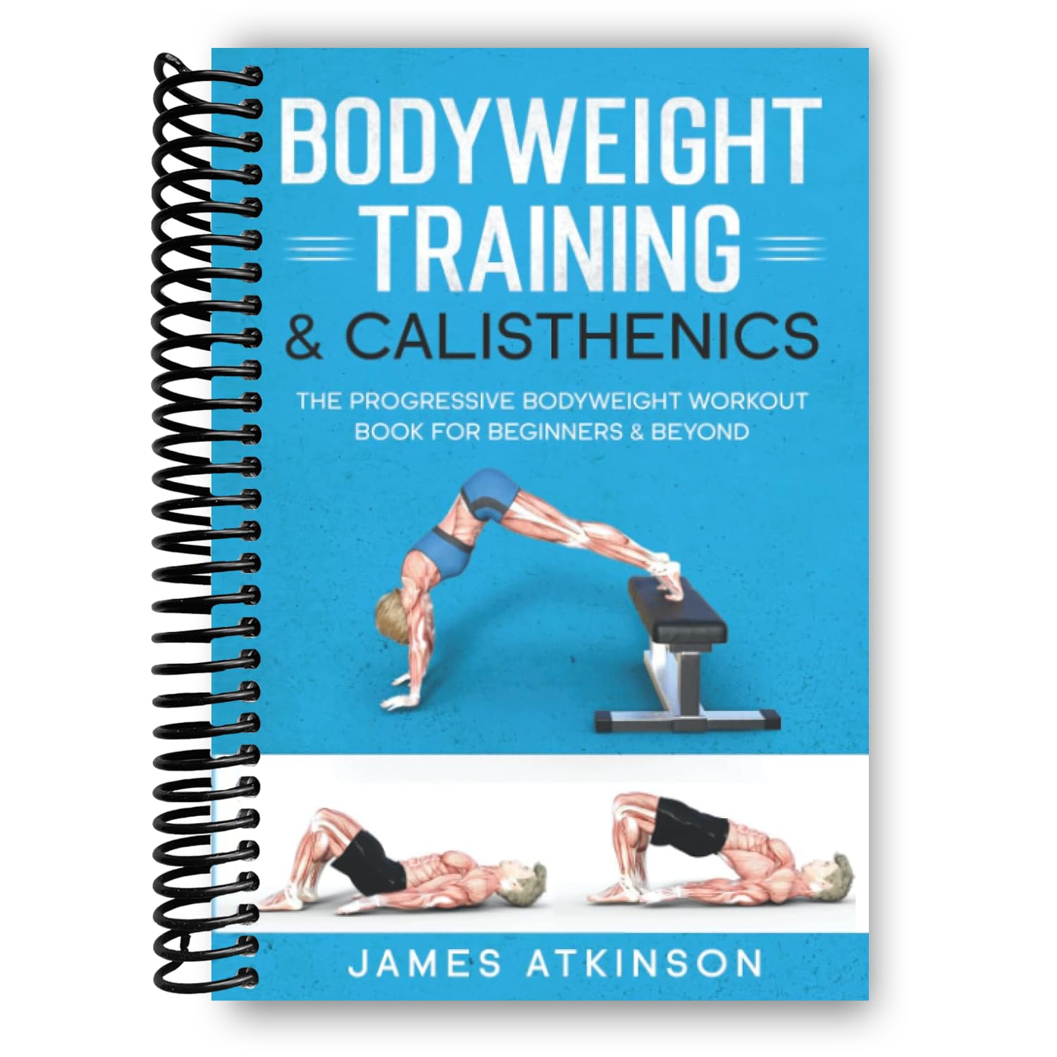 Bodyweight Training & Calisthenics: The Progressive Bodyweight Workout ...