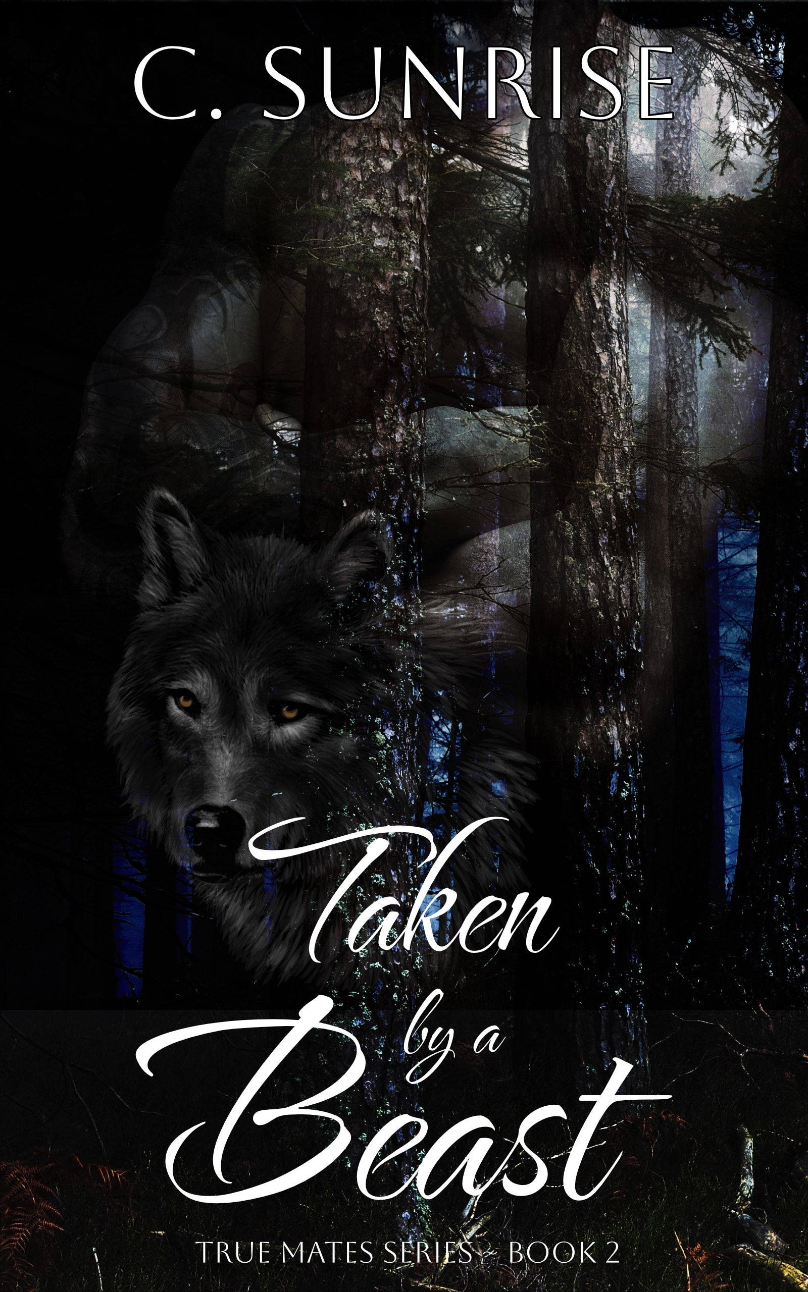 Taken by a Beast (True Mates #2) by C. Sunrise | Goodreads