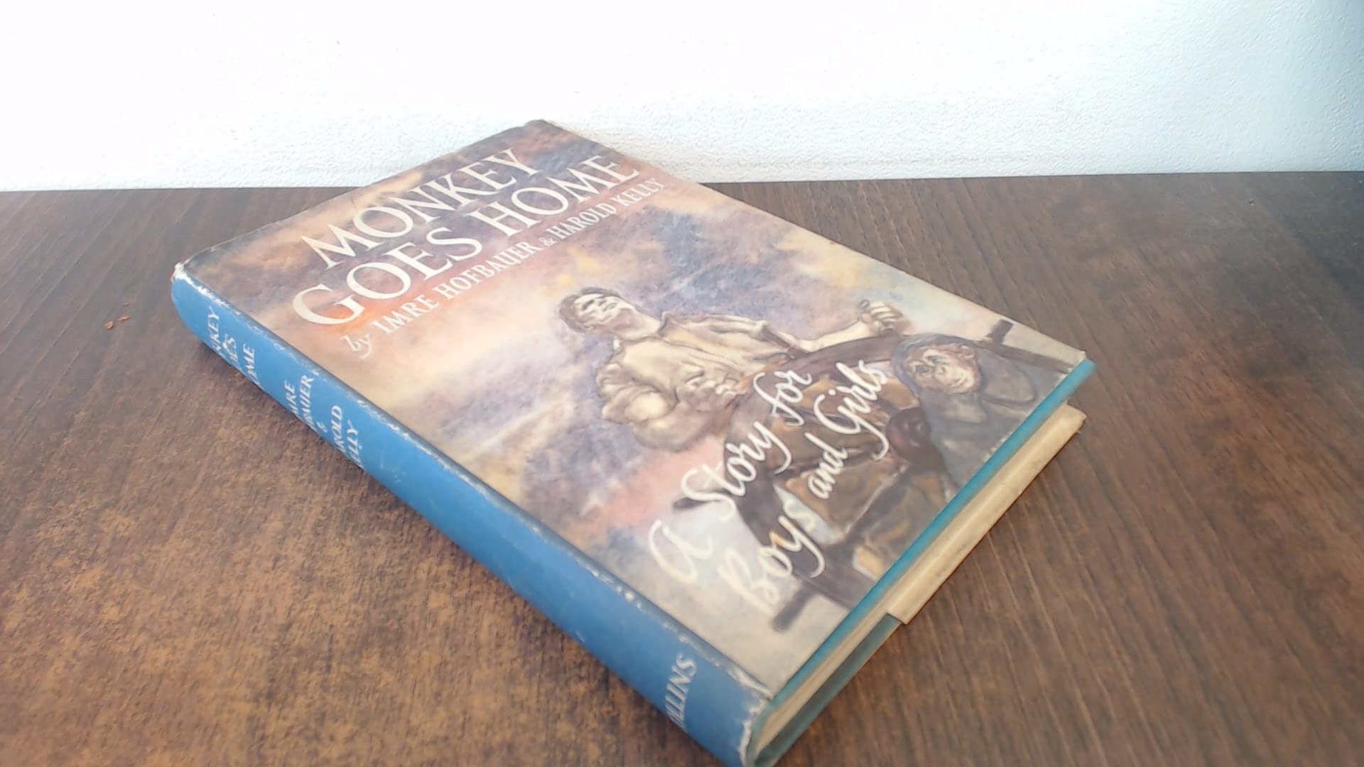 Monkey Goes Home by Hofbauer Imre & Kelly Harold | Goodreads