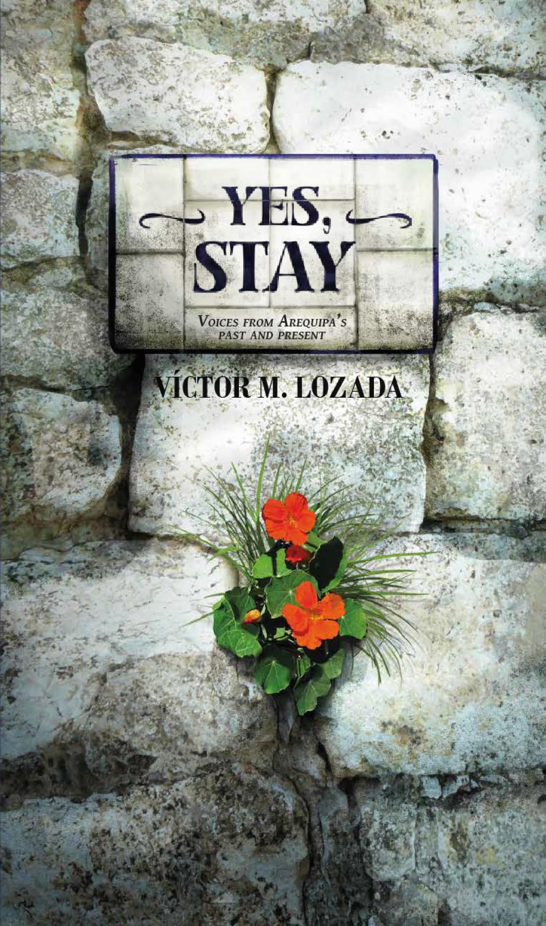 Yes, stay: Voices from Arequipa’s past and present by Víctor Manuel ...