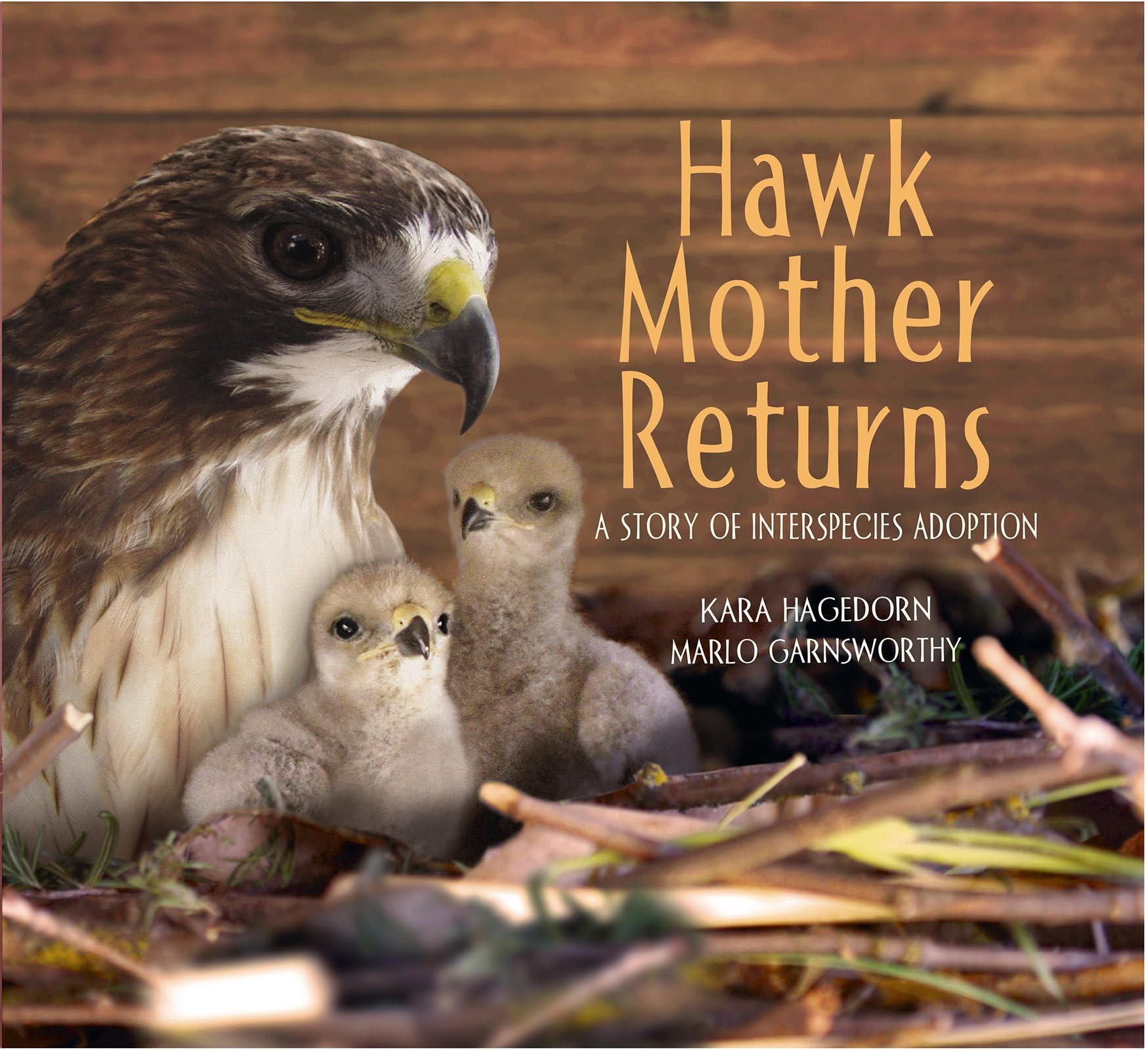 Hawk Mother Returns: A Story of Interspecies Adoption by Kara Hagedorn ...