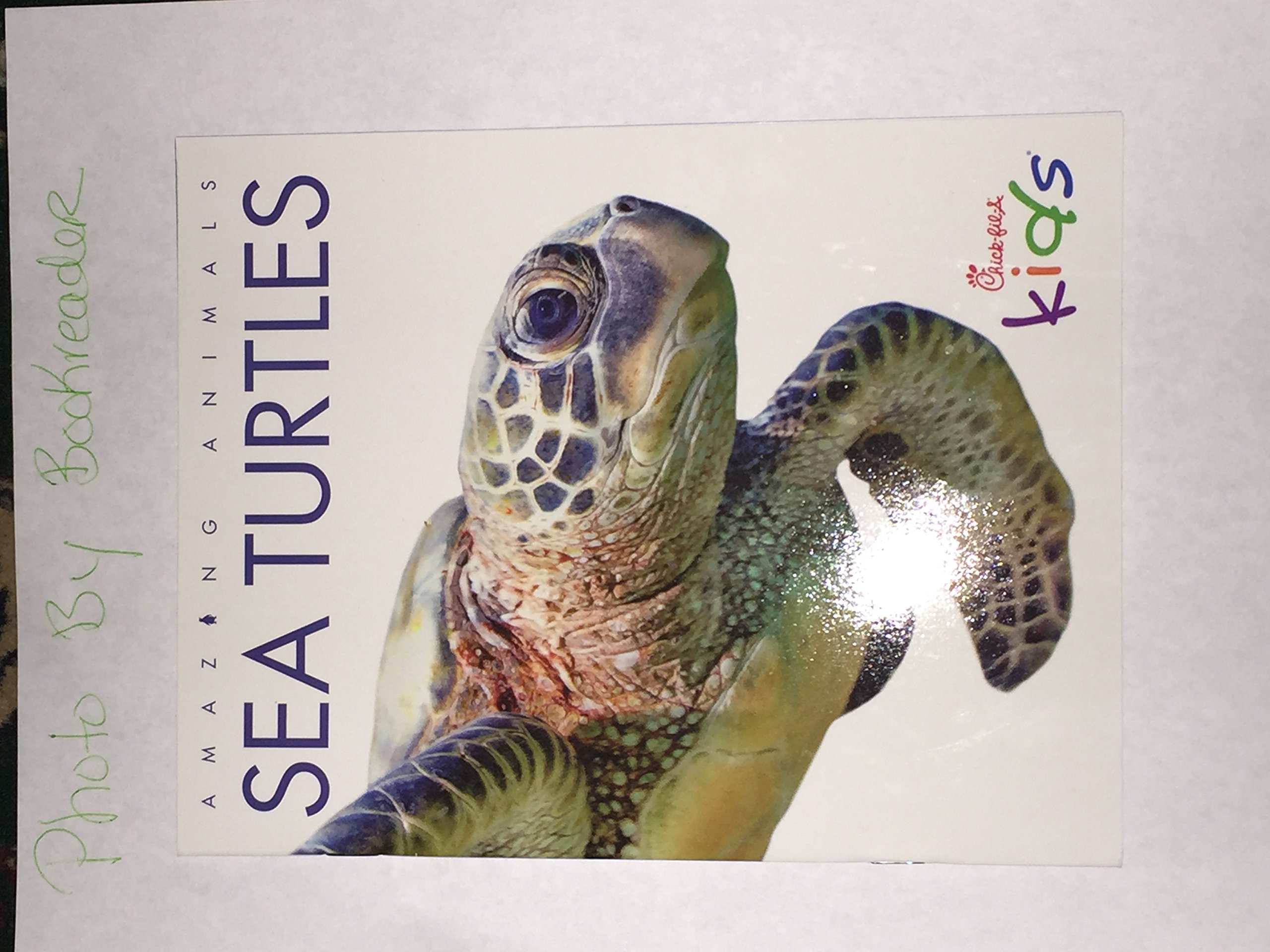 Amazing Animals, Sea Turtles, 2015 Chick-fil-A Kids Edition by Kate Riggs | Goodreads