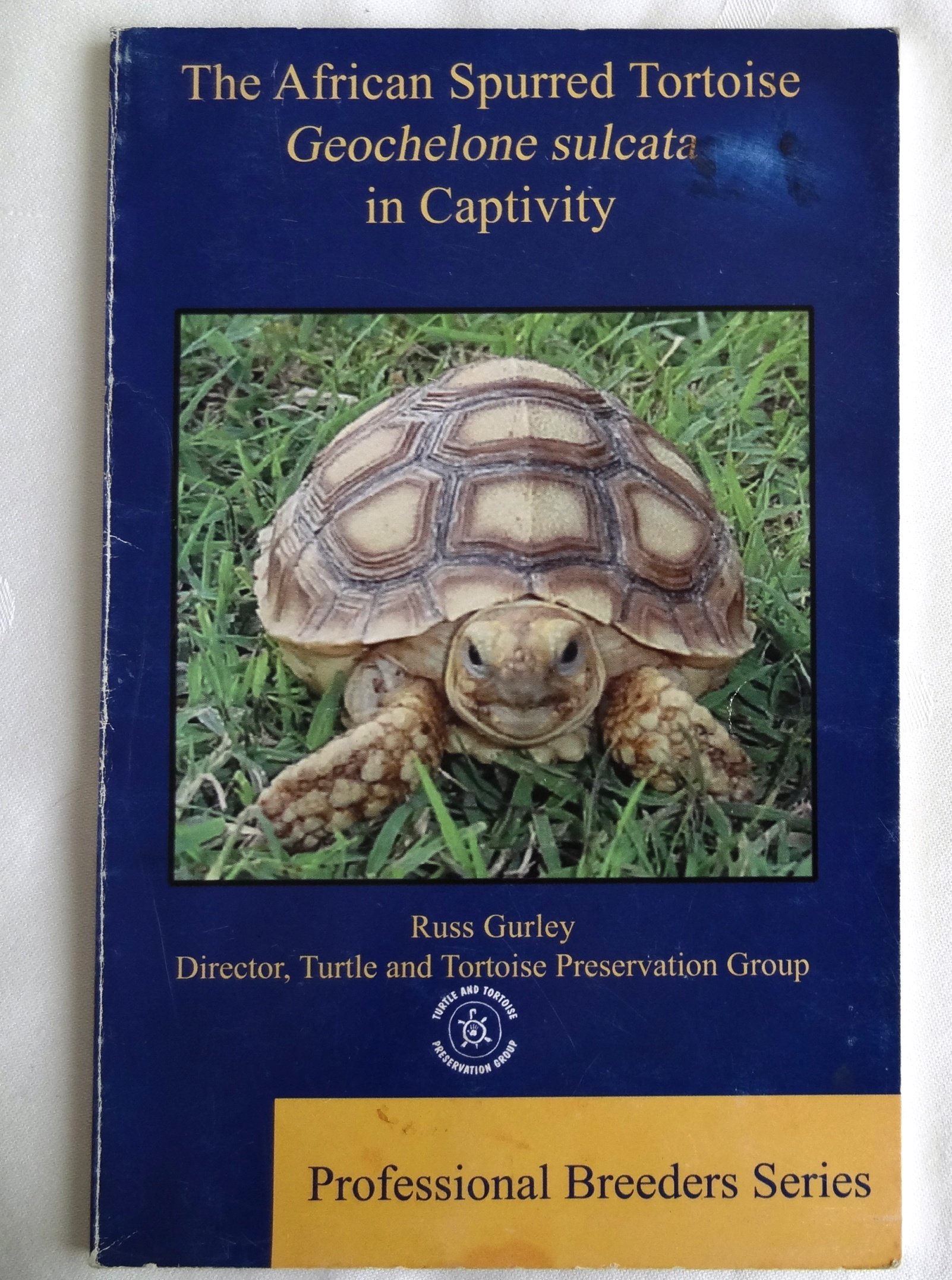 African Spurred Tortoise 'Geochelone Sulcata' In Captivity by Russ ...