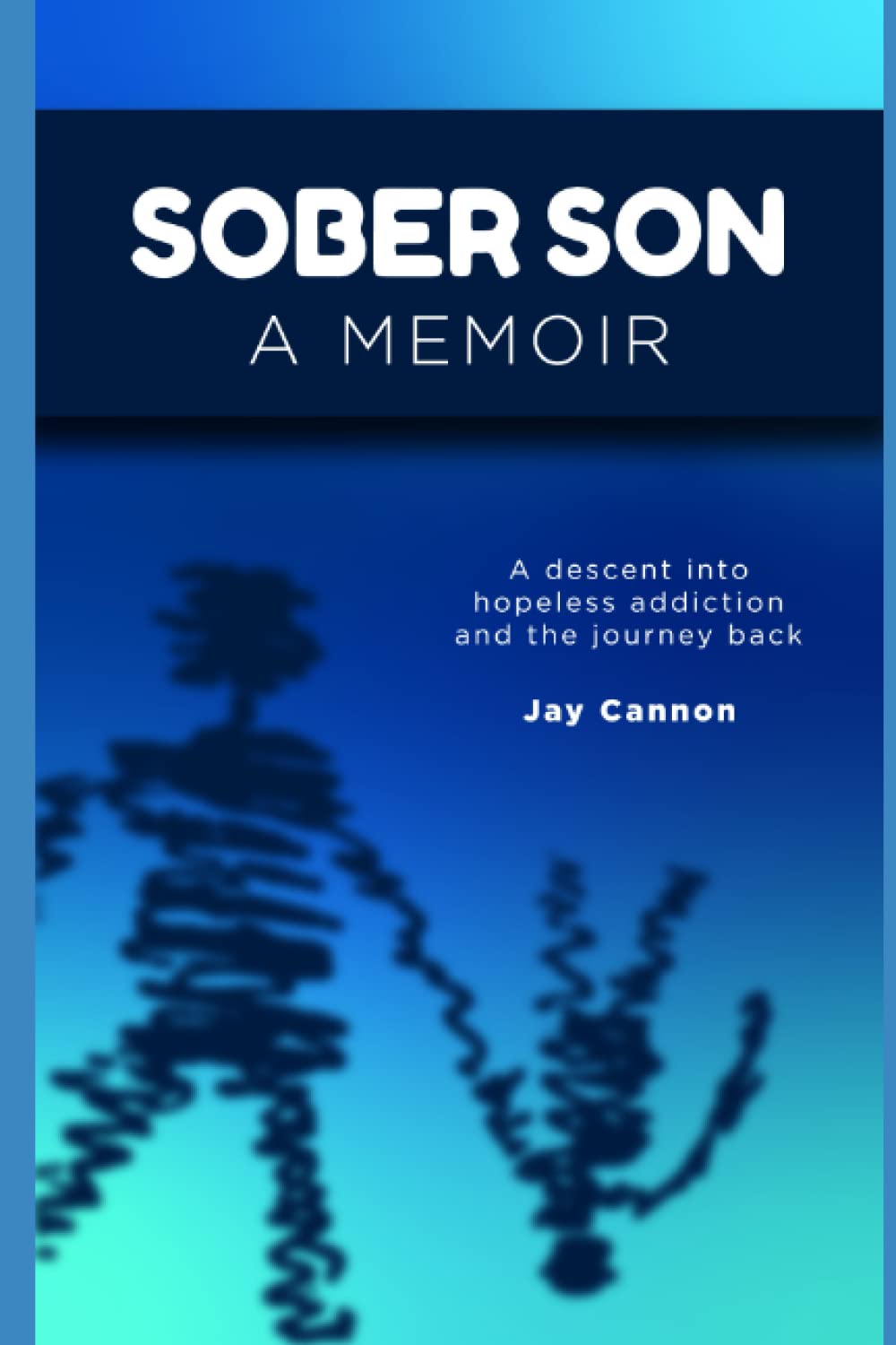 Sober Son: A Descent Into Hopeless Addiction and the Journey Back by Mr ...