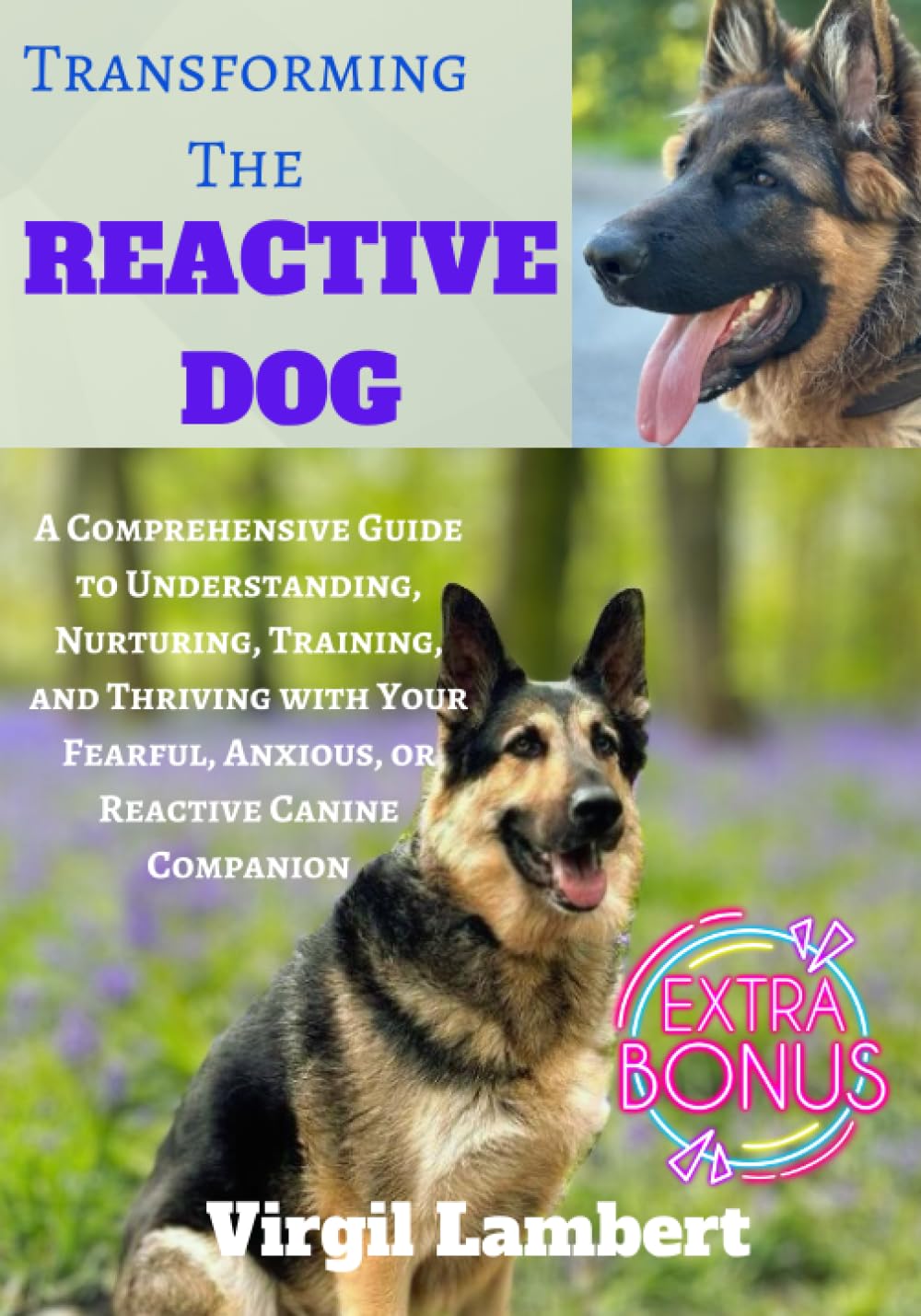 Transforming the Reactive Dog: A Comprehensive Guide to Understanding ...