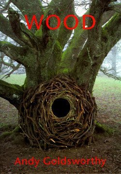 Andy Goldsworthy: Wood (Hardcover); 1996 Edition by Andy Goldsworthy ...