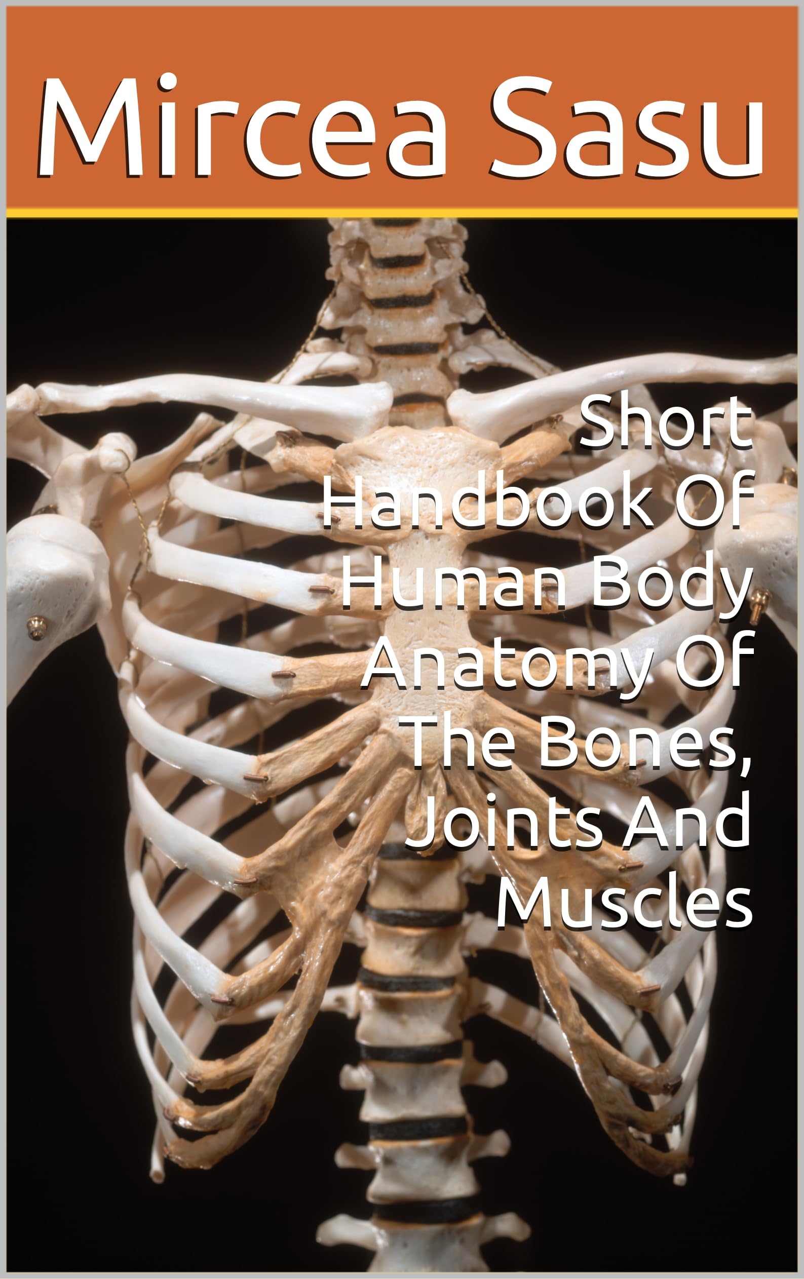 Short Handbook Of Human Body Anatomy Of The Bones, Joints And Muscles ...