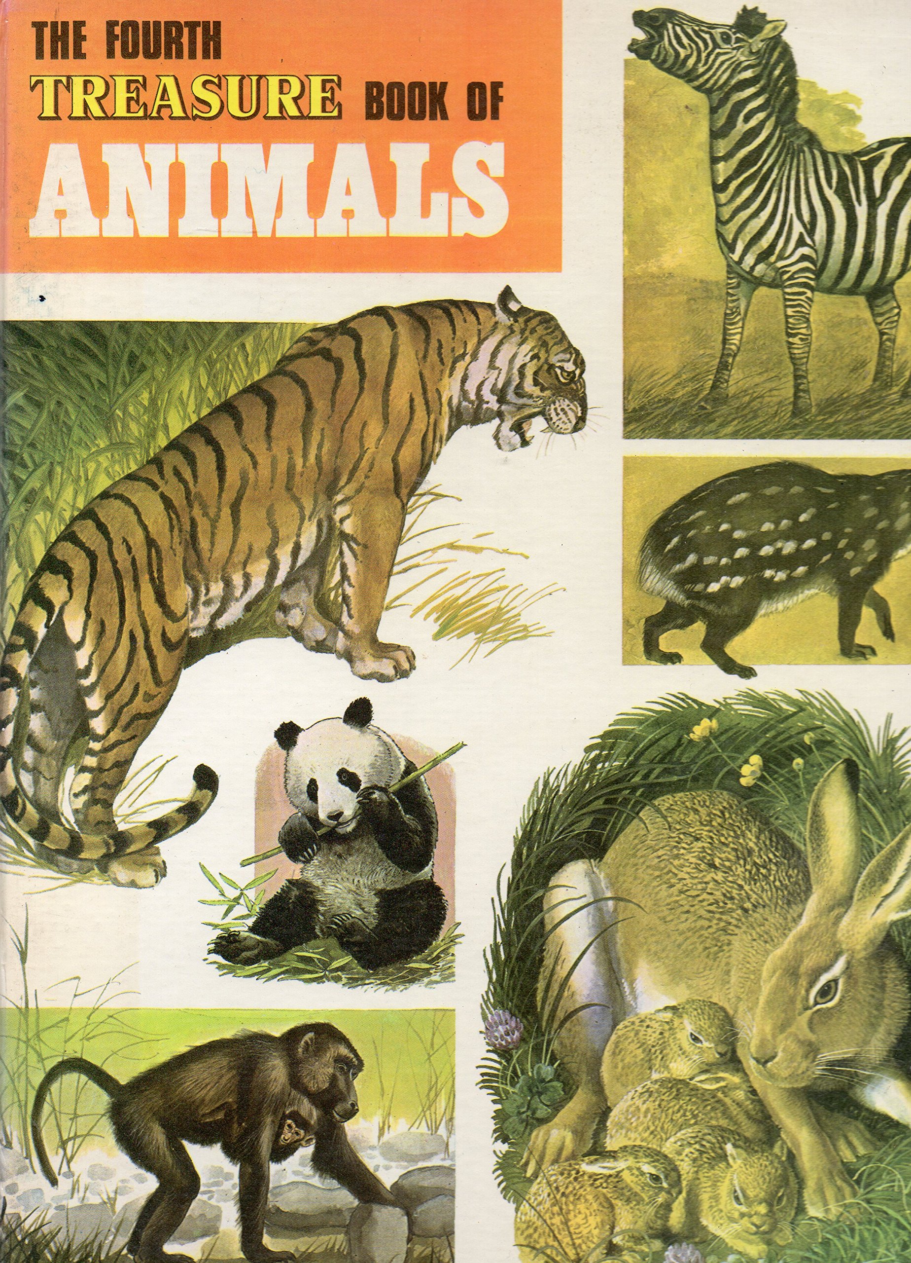 The Treasure Book of Animals by Unknown Author | Goodreads