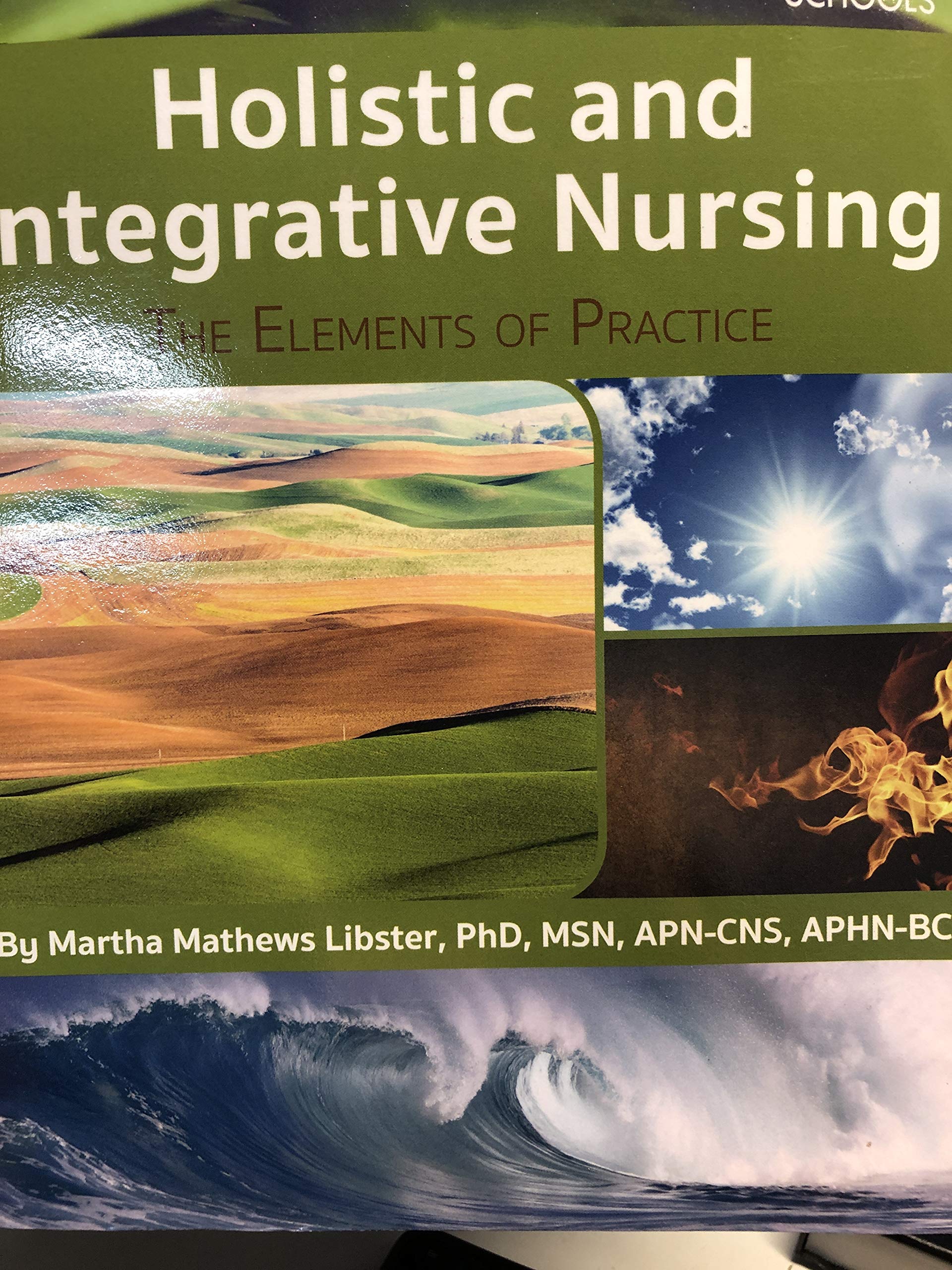 Holistic and Integrative Nursing by Martha Matthews Libster | Goodreads