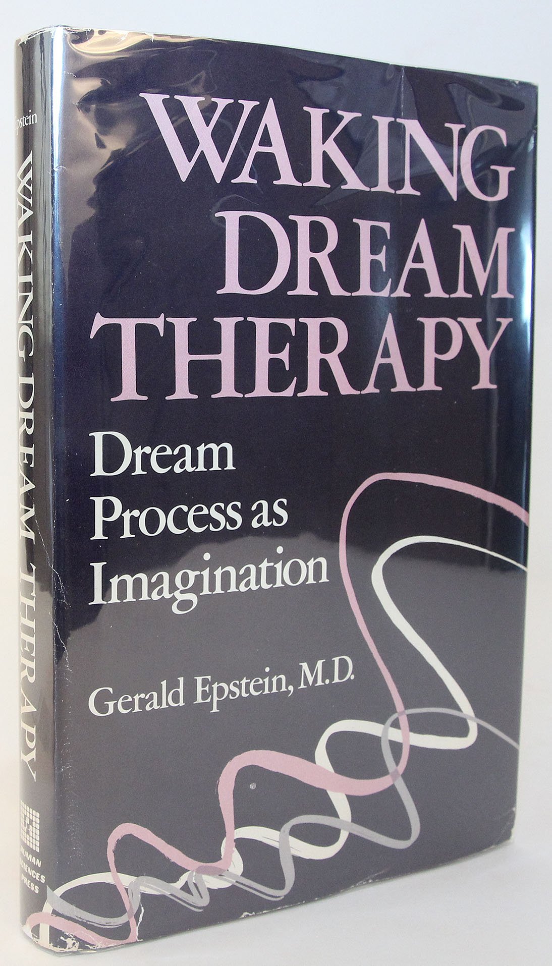Waking Dream Therapy: Dream Process As Imagination by Gerald N. Epstein ...