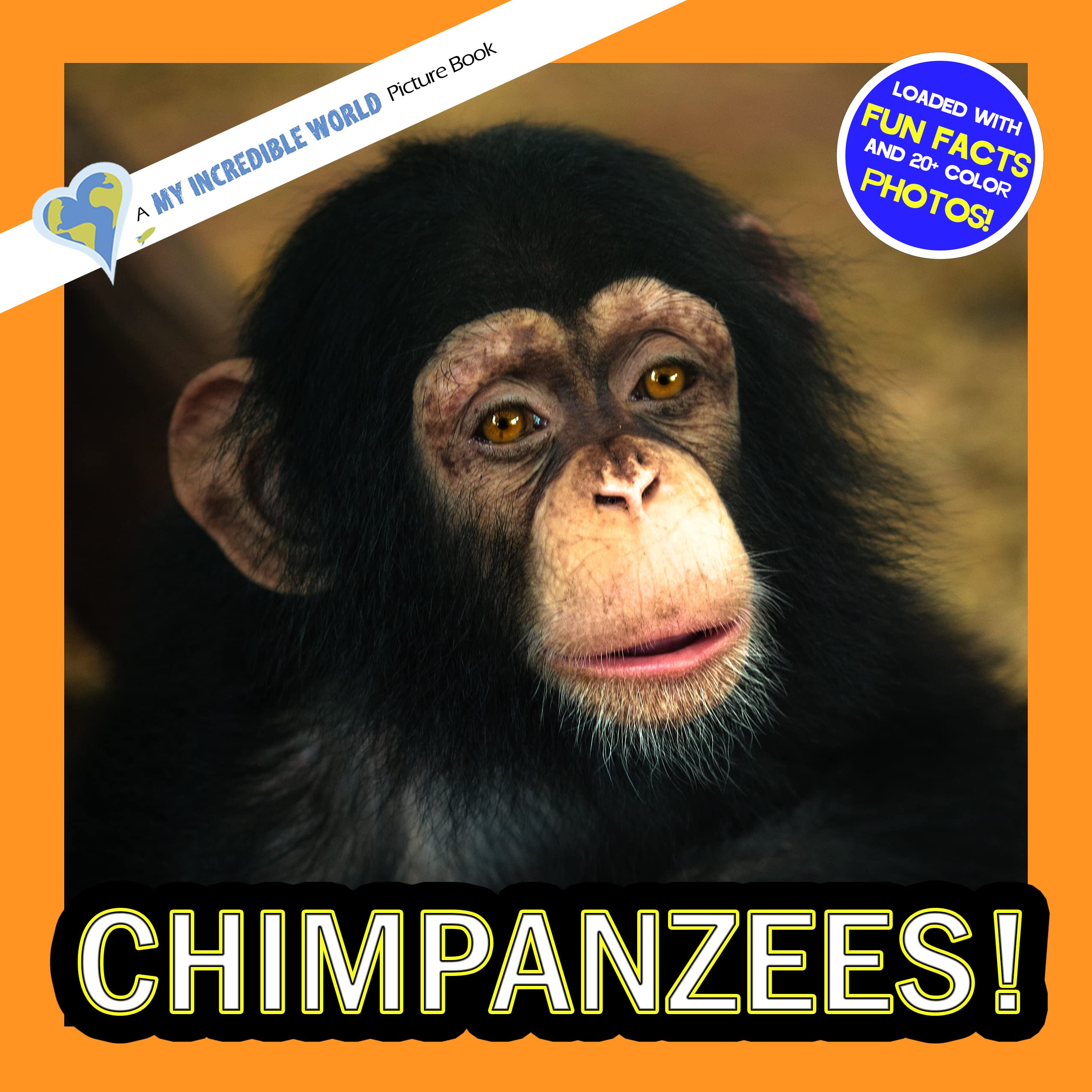 Chimpanzees!: A My Incredible World Picture Book for Children by Hope ...