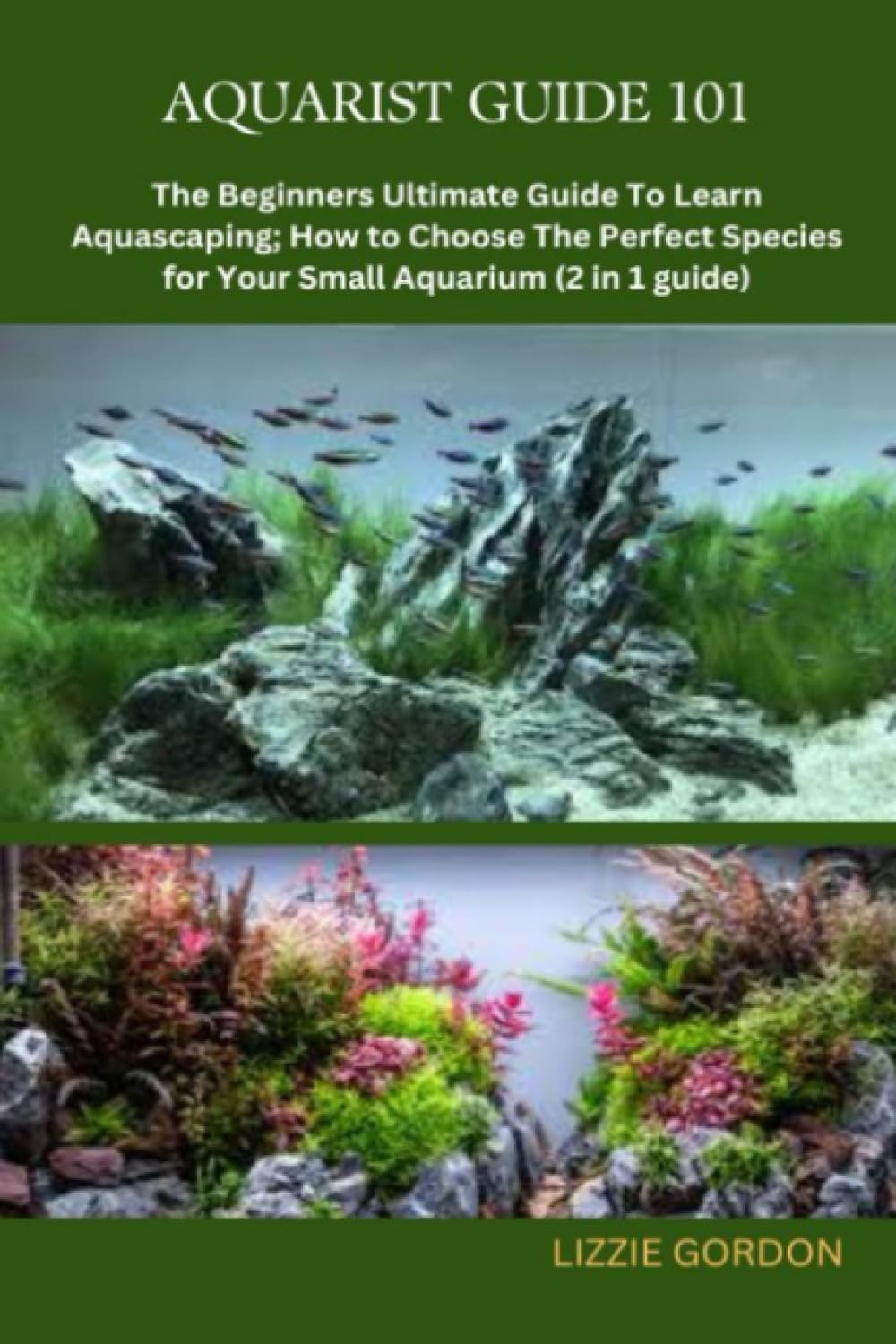 AQUARIST GUIDE 101: The Beginners Ultimate Guide To Learn Aquascaping ...