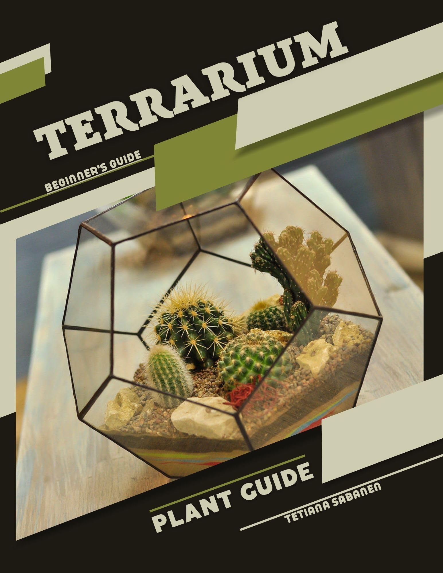 Terrarium Beginner Guide at Kelly Carson blog