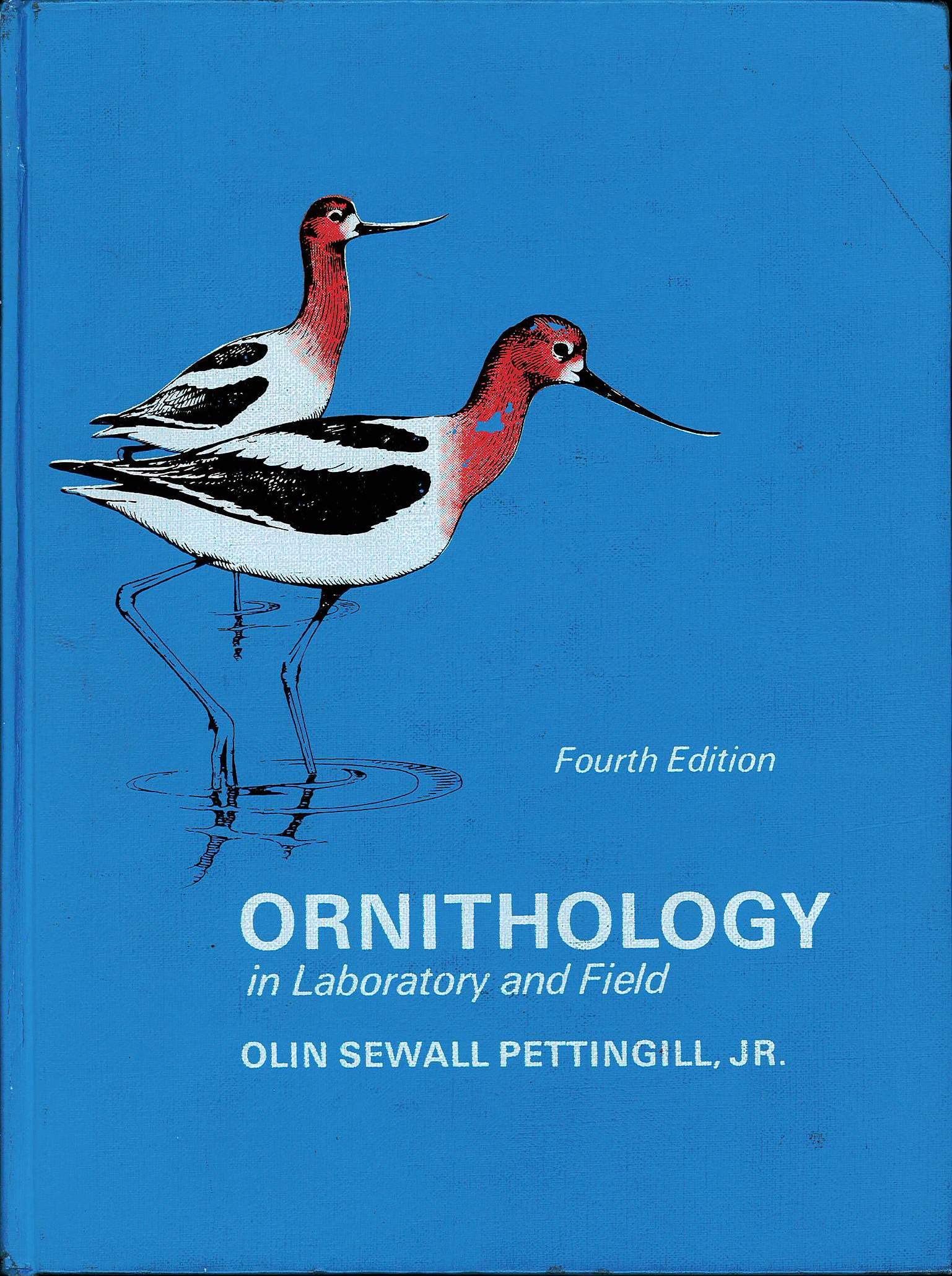 Ornithology in laboratory and field by Olin Sewall Pettingill Jr ...