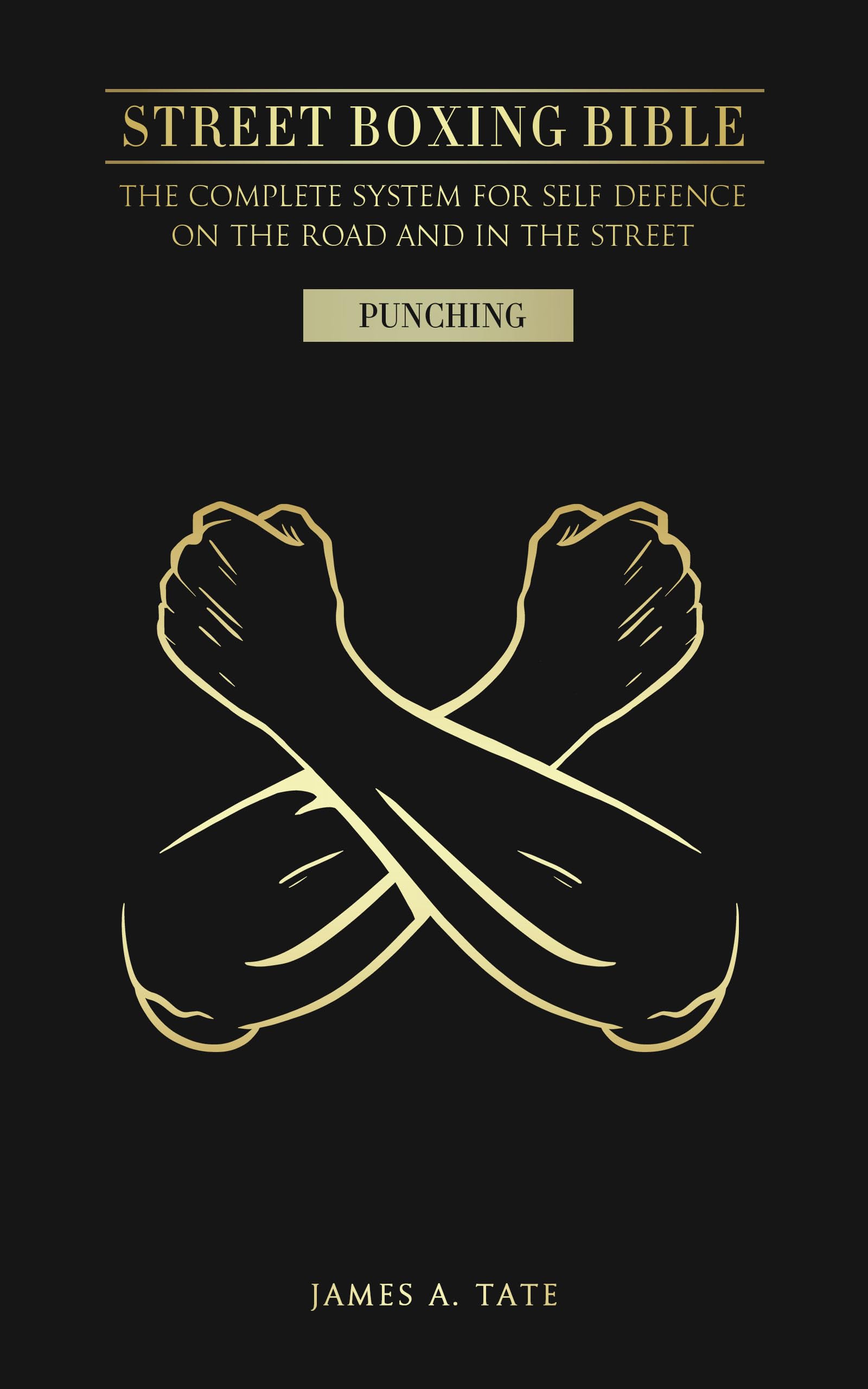 Street Boxing Bible - The Complete System for Self Defence on the Road ...