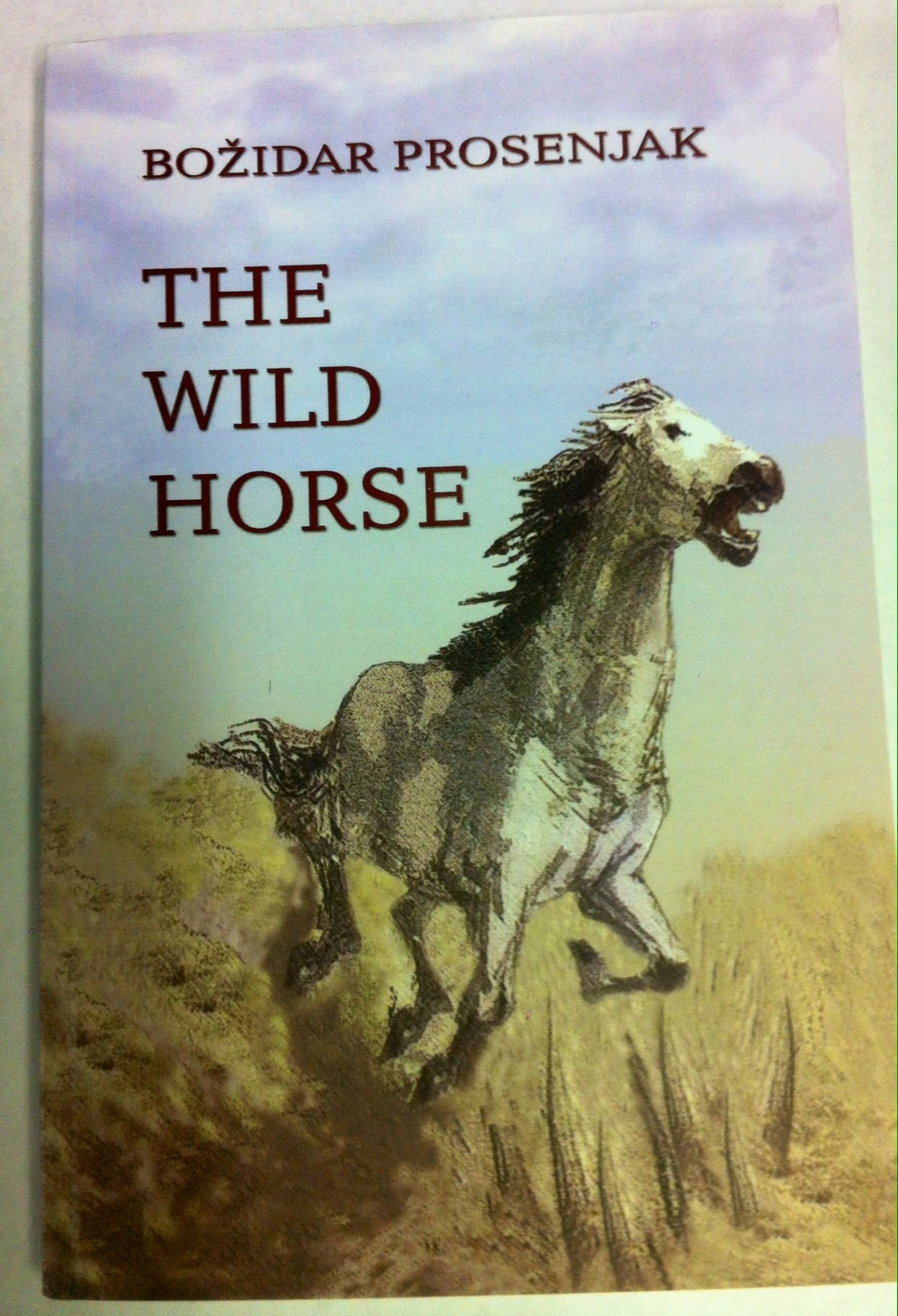 The Wild Horse by Božidar Prosenjak | Goodreads