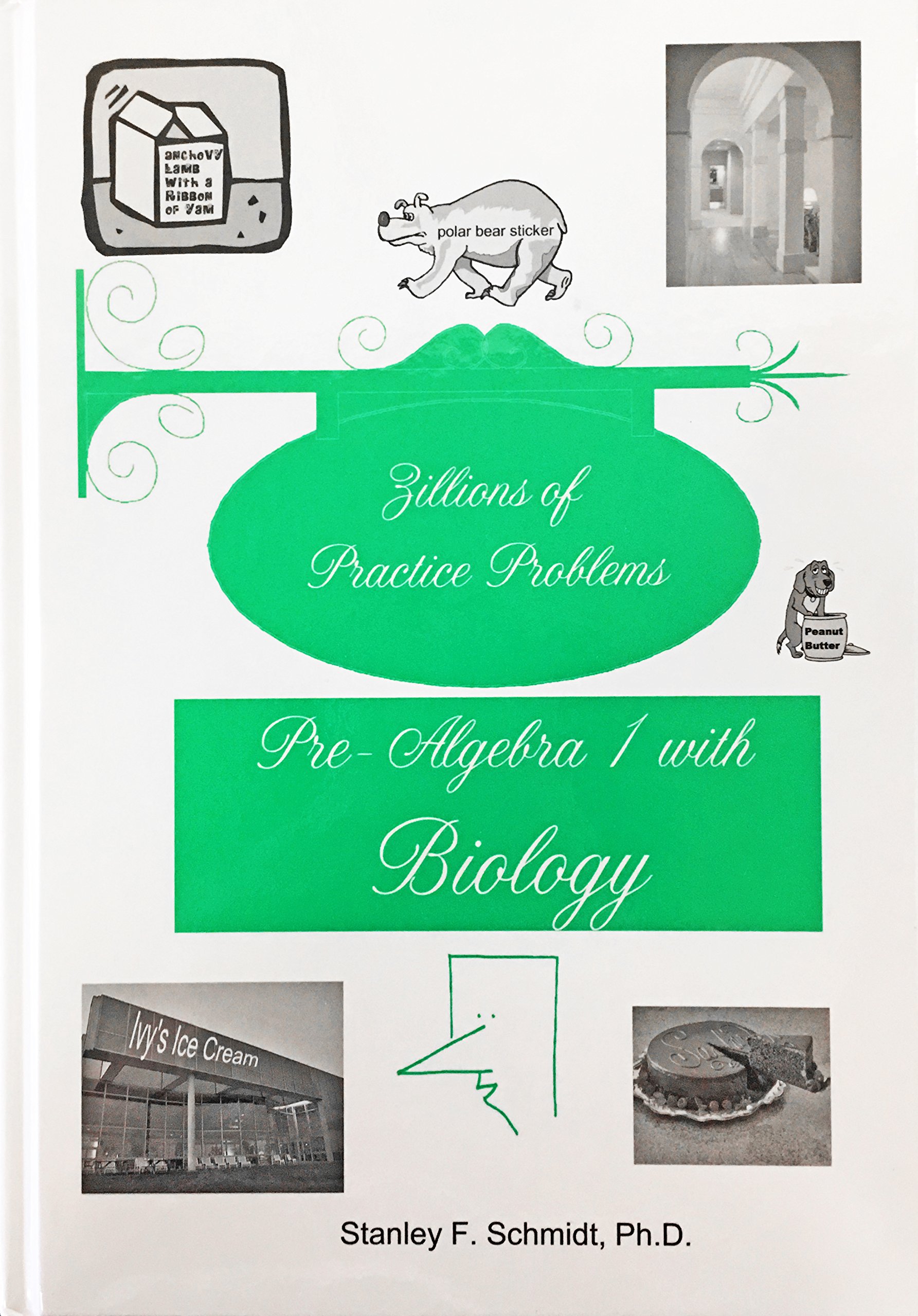 Zillions of Practice Problems: Pre-Algebra 1 with Biology by unknown ...
