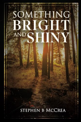 Something Bright and Shiny by Stephen Brian McCrea | Goodreads