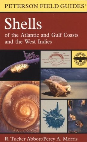 Shells of the Atlantic and Gulf Coasts and the West Indies by Percy A ...