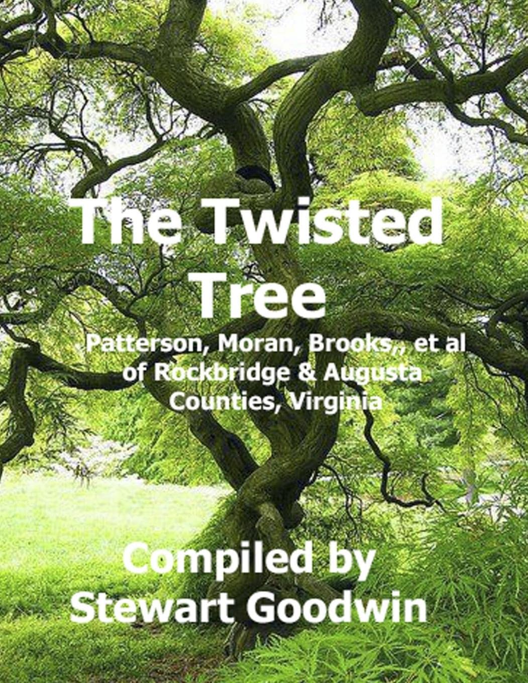 The Twisted Tree by Stewart Goodwin | Goodreads