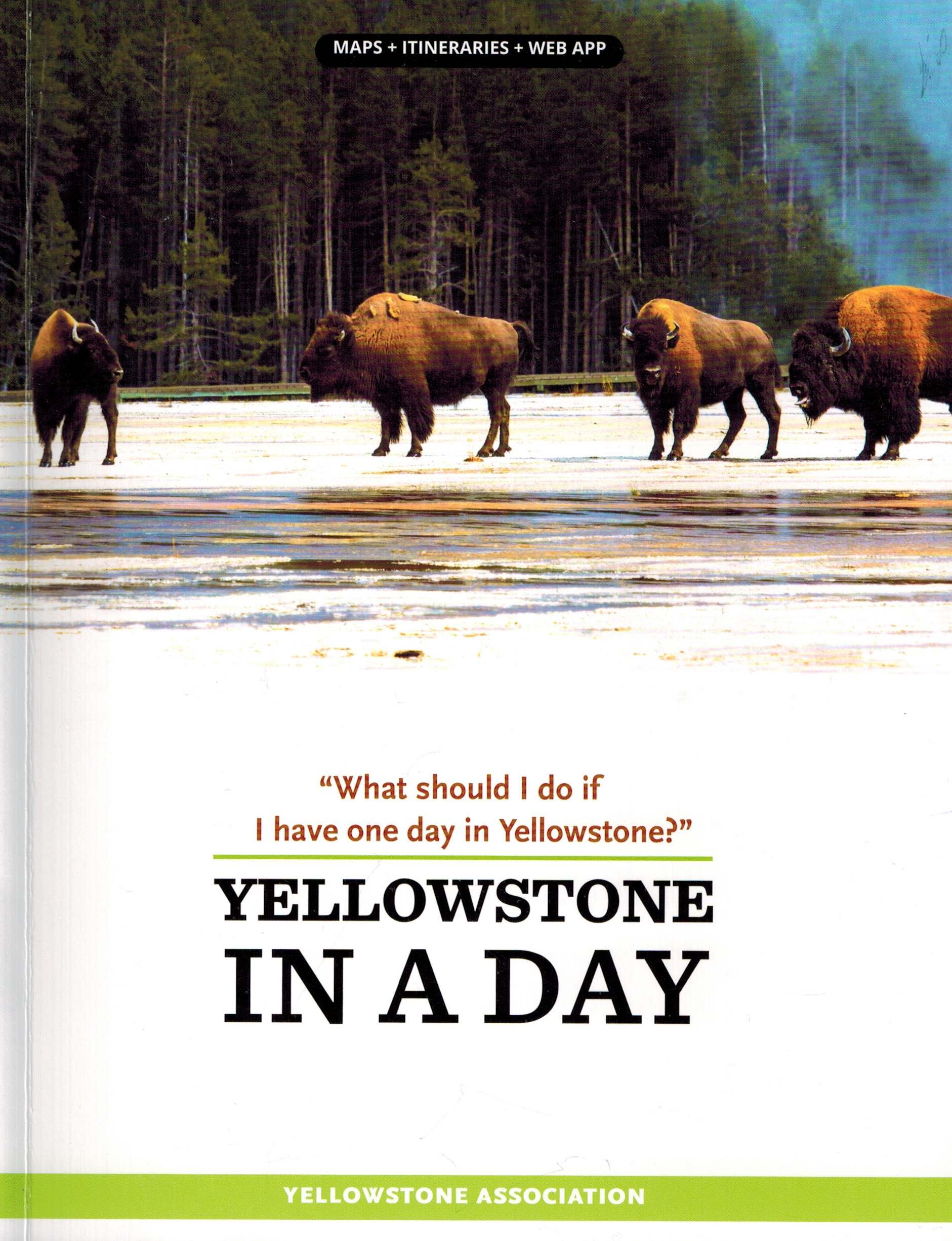 Yellowstone in a Day by Yellowstone Association | Goodreads