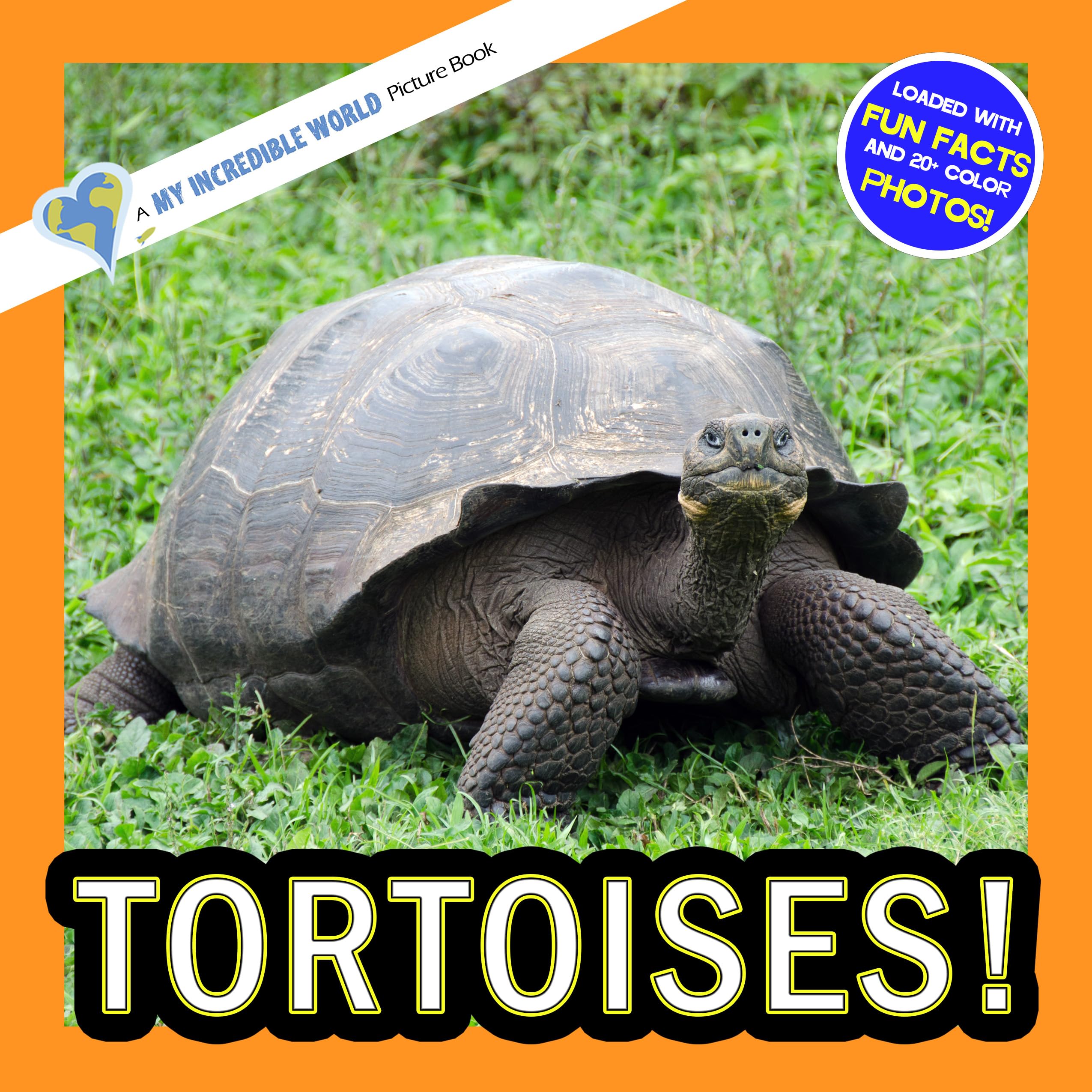 Tortoises!: A My Incredible World Picture Book for Children by Hope ...