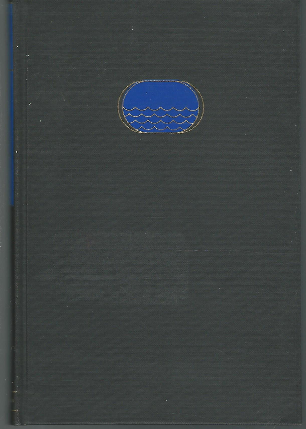 Melville: the ironic diagram by John Seelye | Goodreads