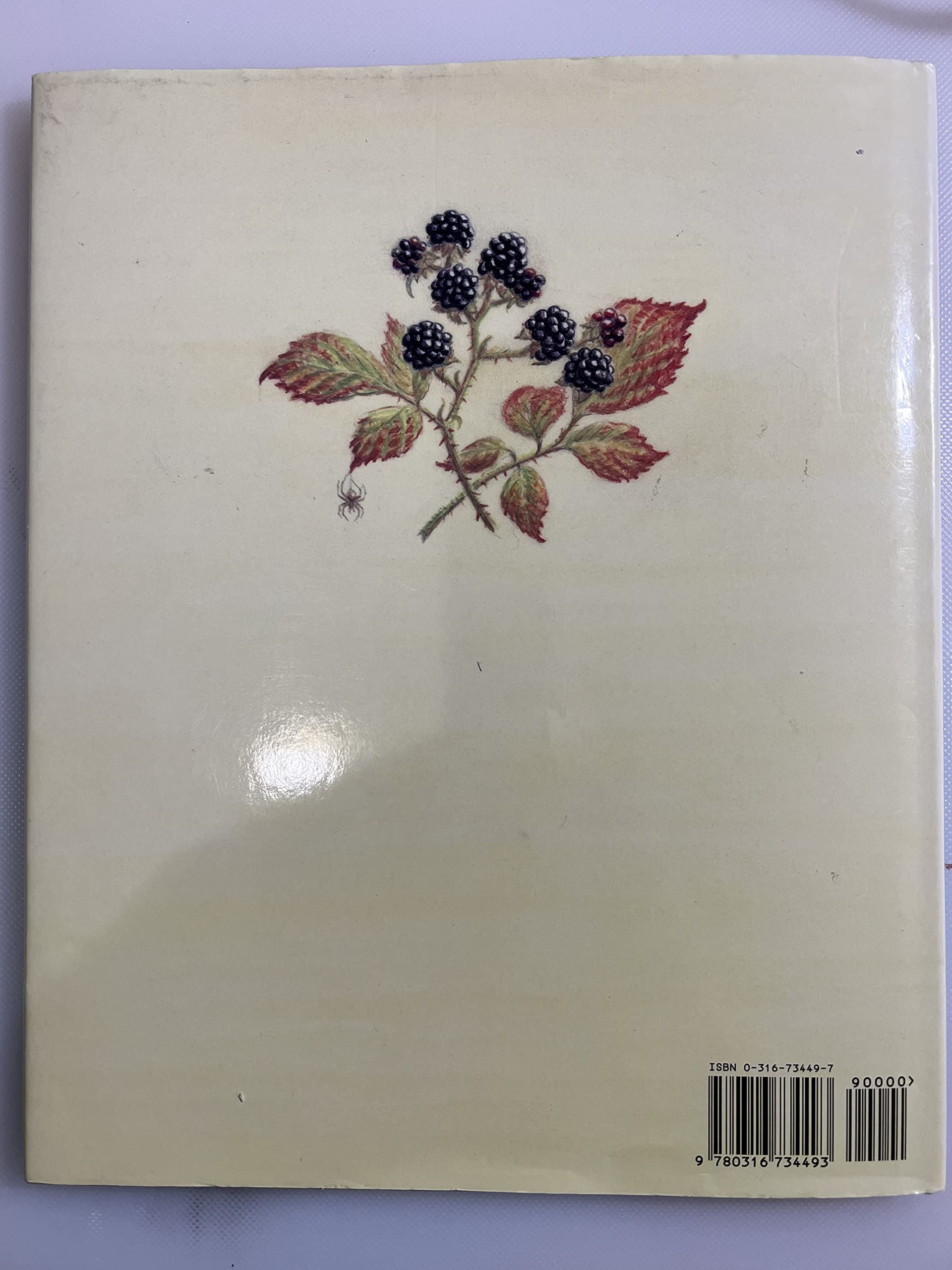 Two in a Pocket by Robin Ravilious | Goodreads