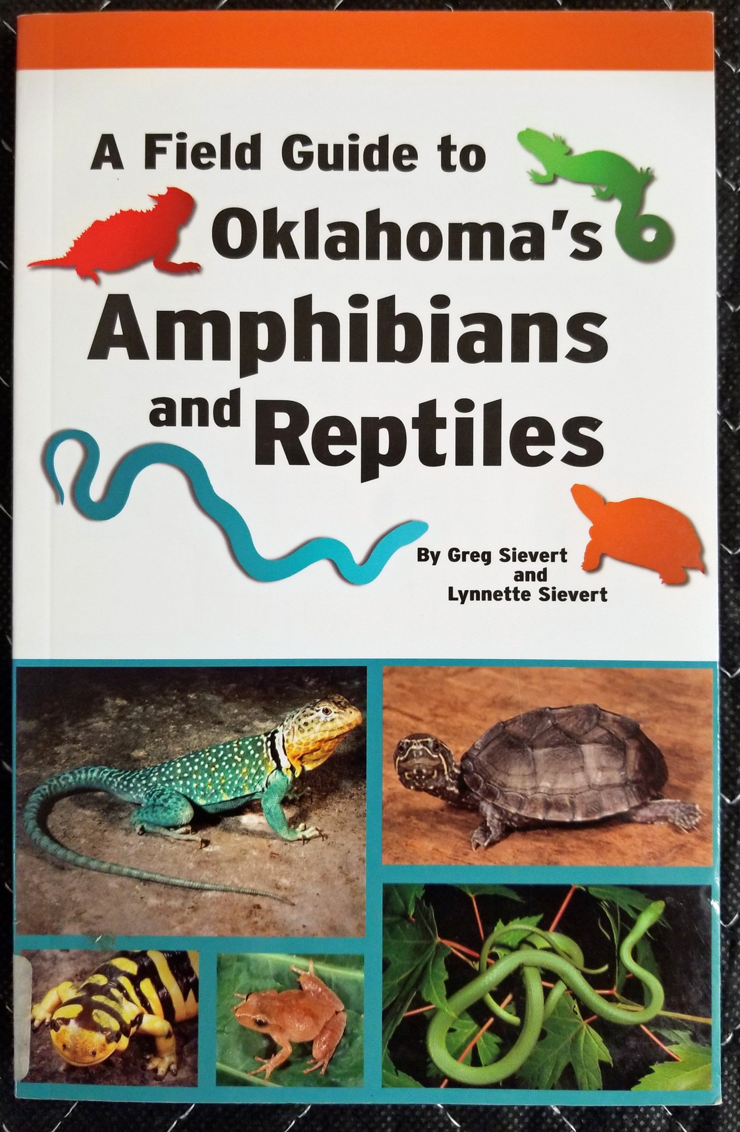A Field Guide to Oklahoma's Amphibians and Reptiles by Gregory Sievert ...