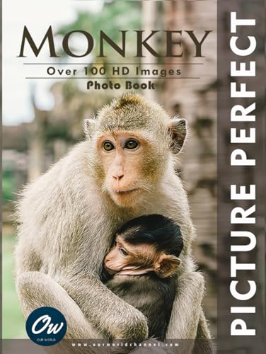 Monkey: Picture Perfect Photo Book by Our World | Goodreads