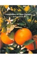 Compendium of Citrus Diseases (Compendium of Plant Disease Series) 2 ...