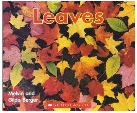 Leaves (Time to Discover Scholastic Readers) by Melvin A. Berger ...