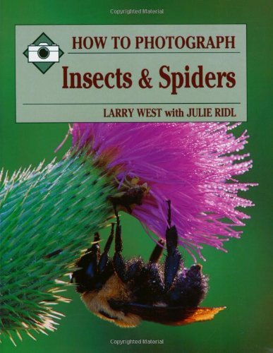 How to Photograph Insects & Spiders (How To Photograph Series) by Larry ...