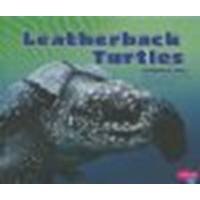 Leatherback Turtles by Mandy R. Marx | Goodreads